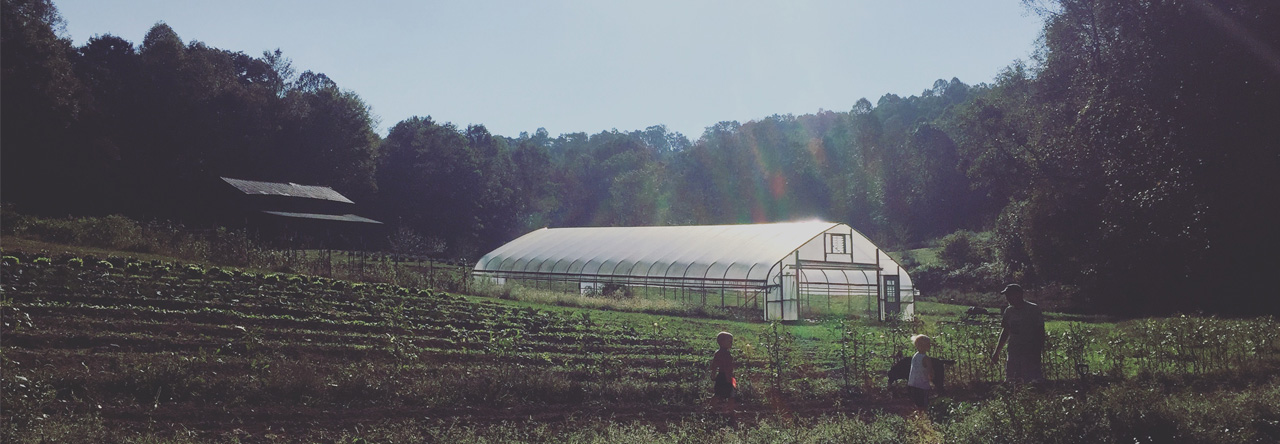 Animal Supplies – Wolf Farm Natural Elements